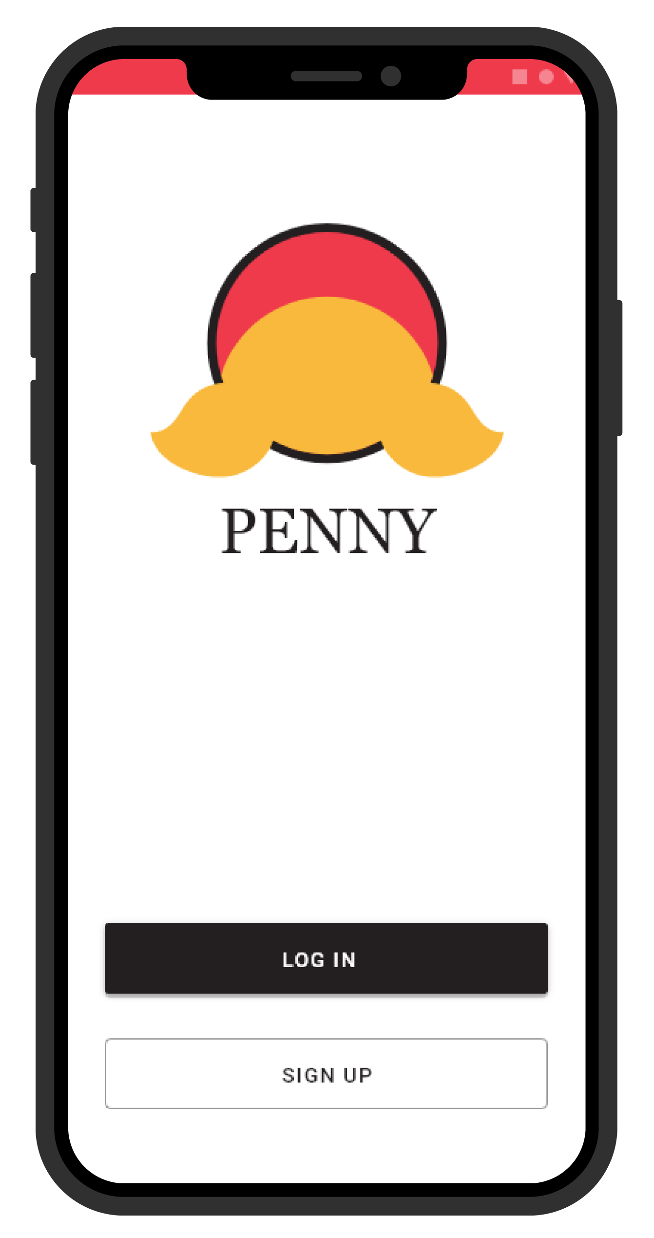 Lindsey Haselden Portfolio